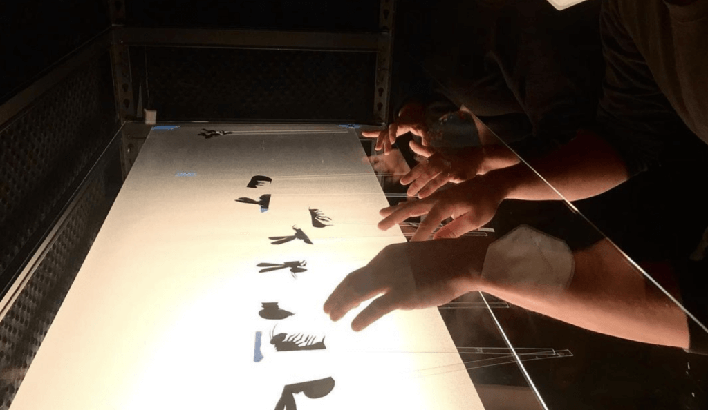 Workshops During the Festival - Chicago International Puppet Theater ...